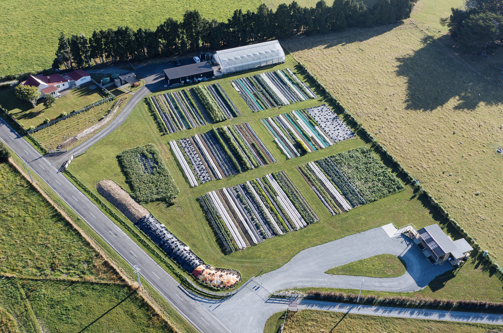 About Us — Mangaroa Farms