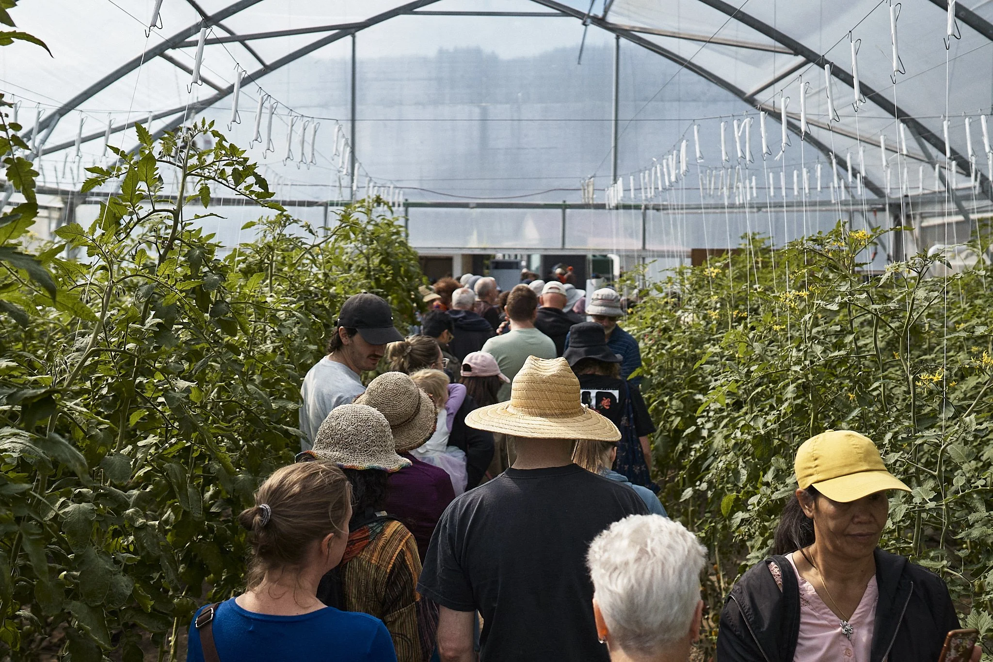 Stay — Mangaroa Farms