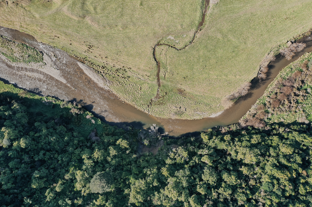 About Us — Mangaroa Farms