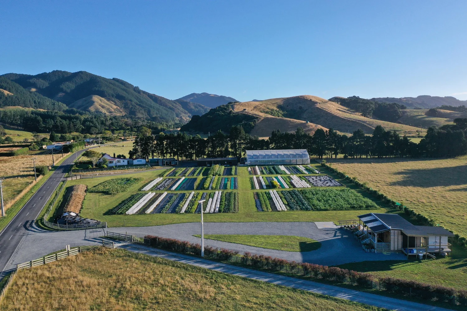Mangaroa Farms