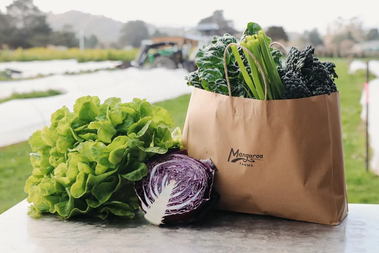 About Us — Mangaroa Farms