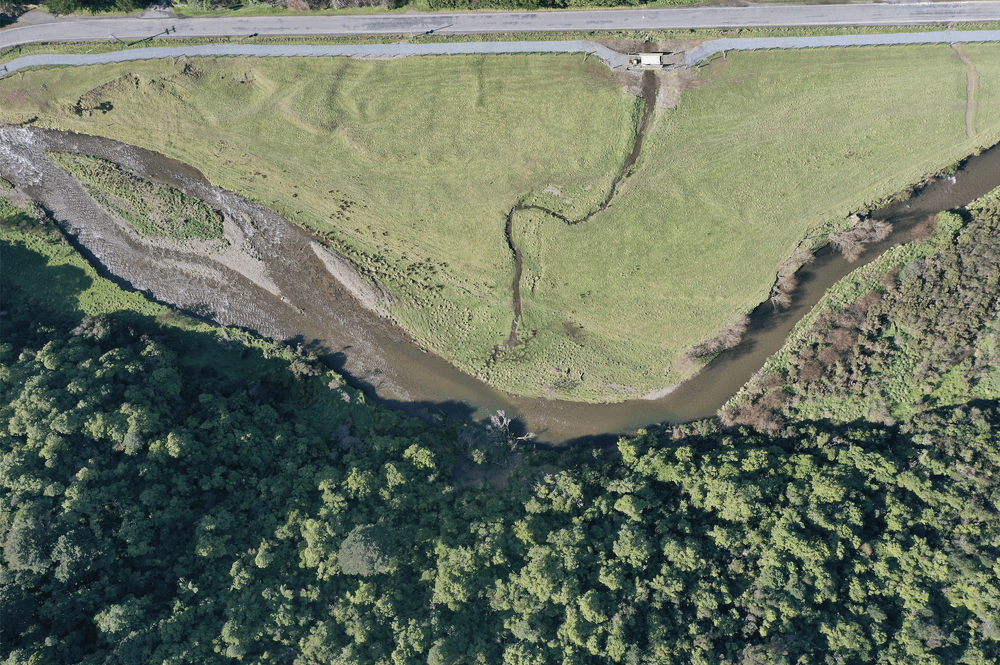 Contact — Mangaroa Farms
