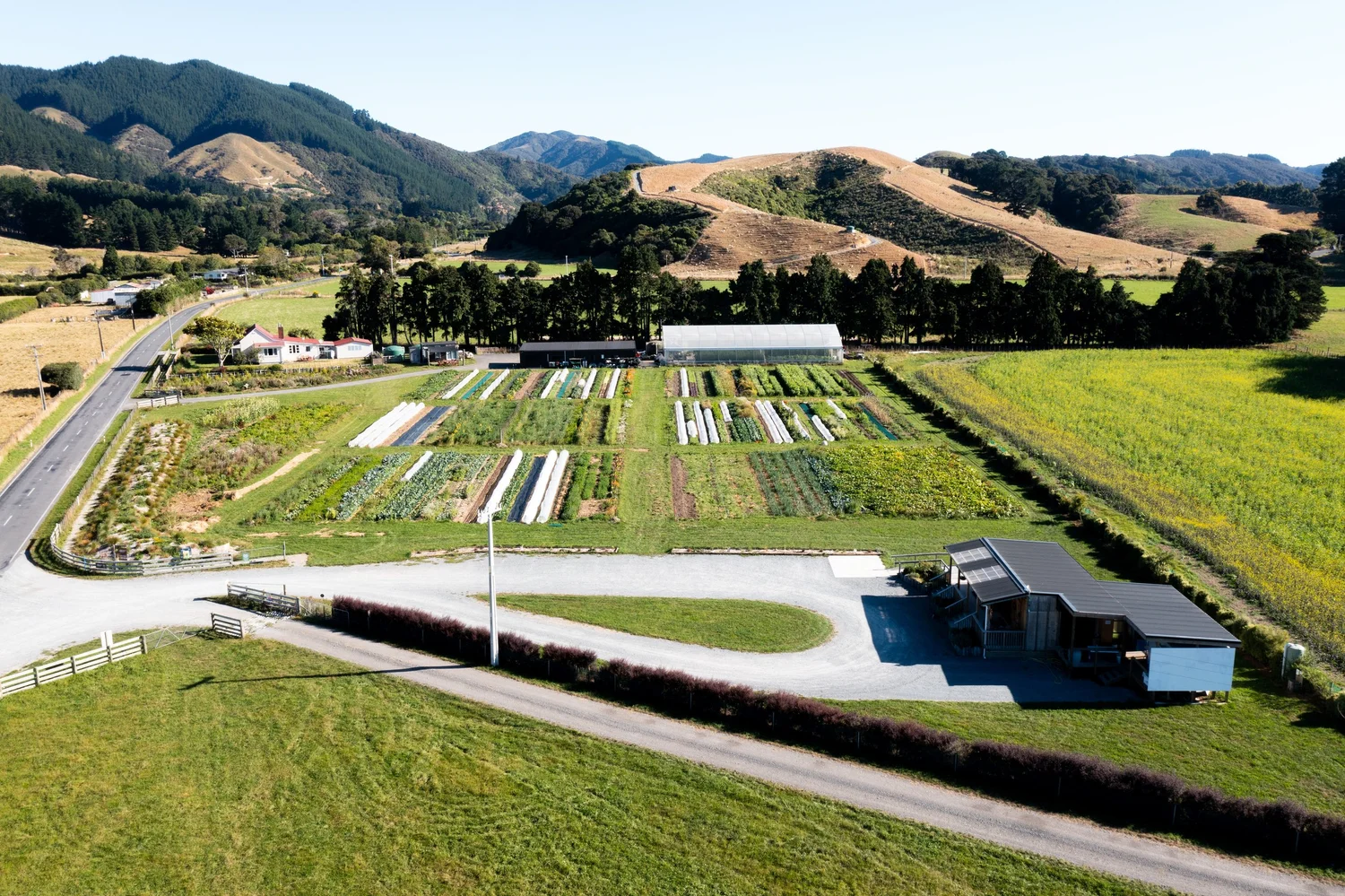 Mangaroa Farms