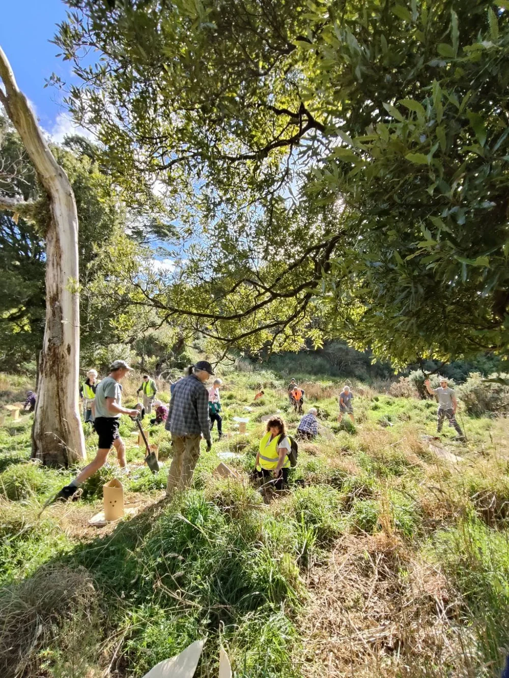 About Us — Mangaroa Farms