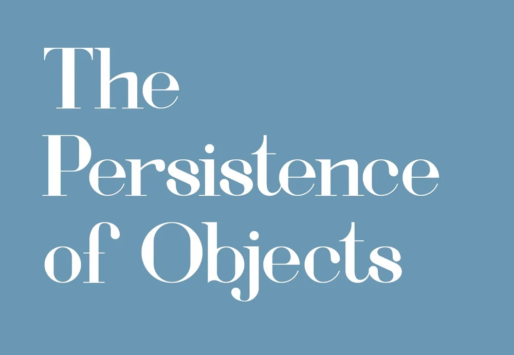 'The Persistence of Objects' / Carol Bove, Gerard Byrne, Duncan ...