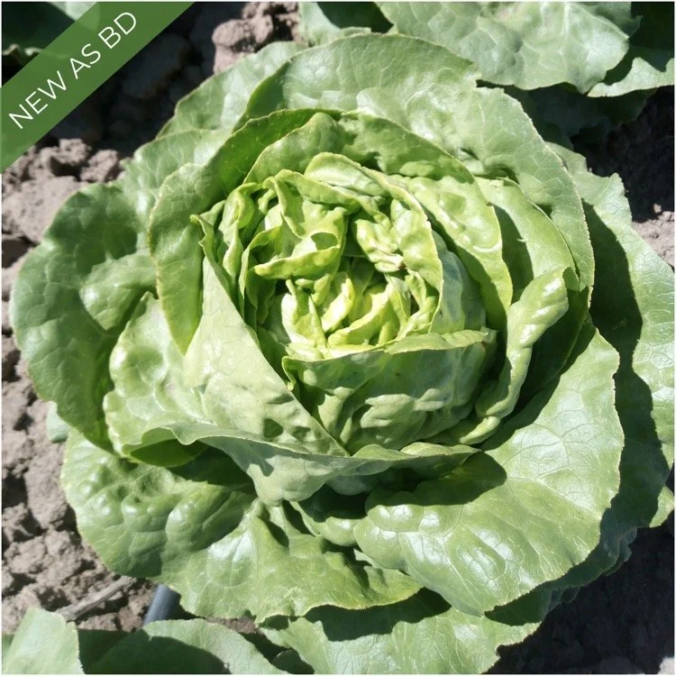 Organic Seeds Australia