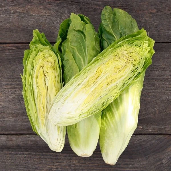 Fiero F1 | Certified Organic Radicchio Seed — Organic Seeds Australia