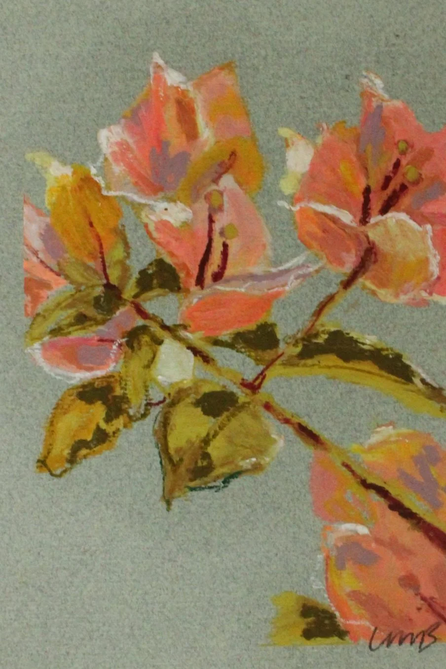 Eva Ray /Artist and designer based in Kent