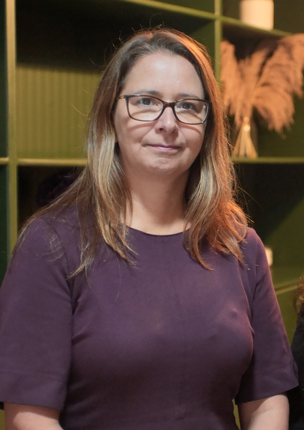 Prohibited Steps vs Child Arrangement Order | Child Custody — RJS ...