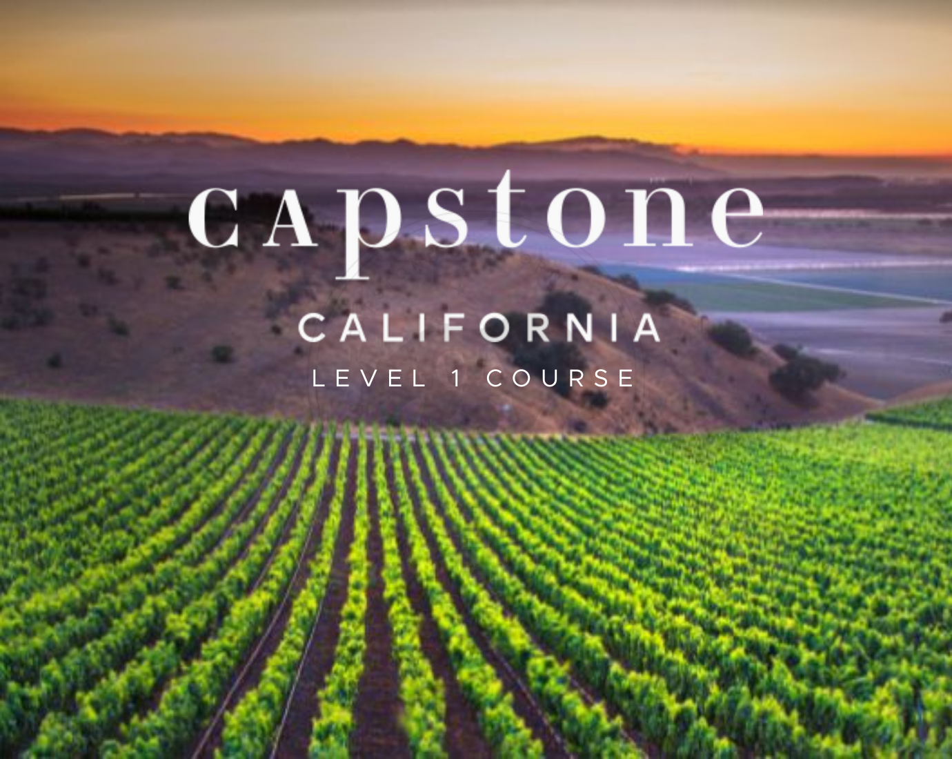 The Capstone California Introductory Level 1 Course — WSET by The Tasting Class