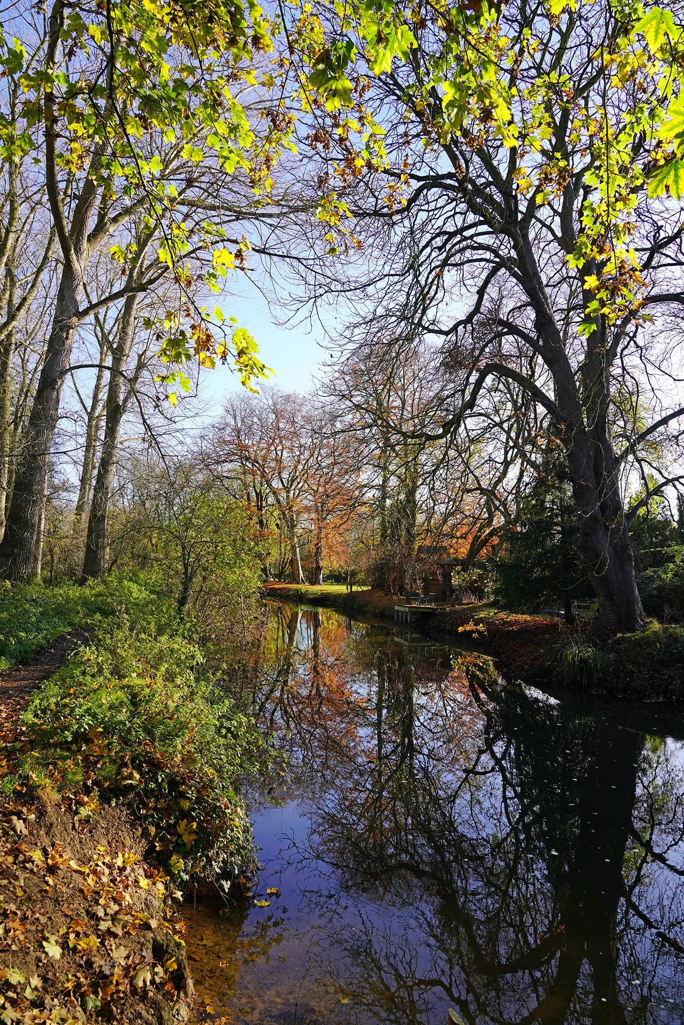 Lark Valley Path — Walking in the Wild