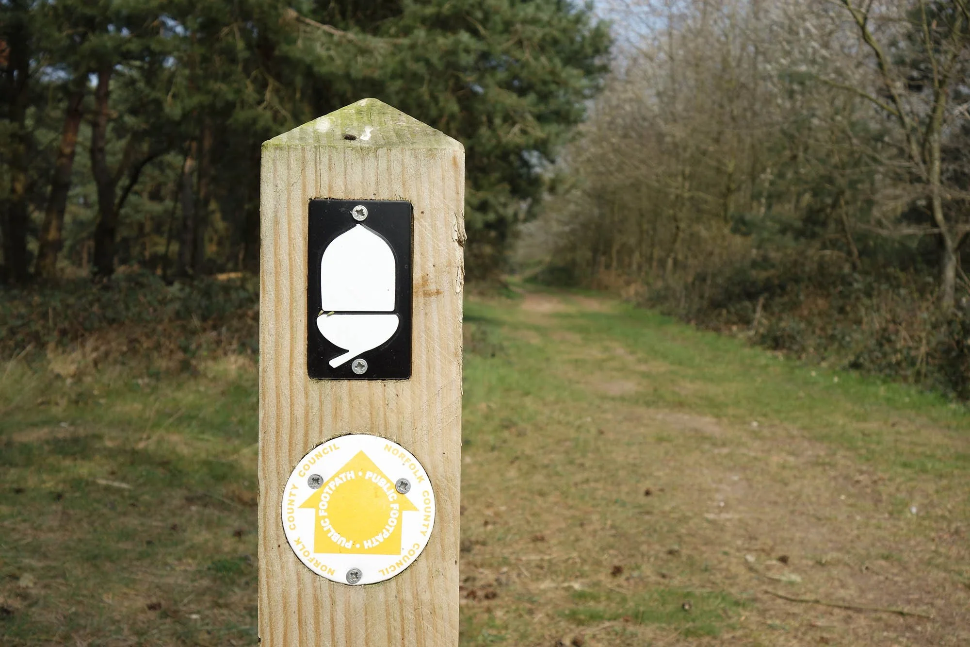 Peddars Way — Walking in the Wild