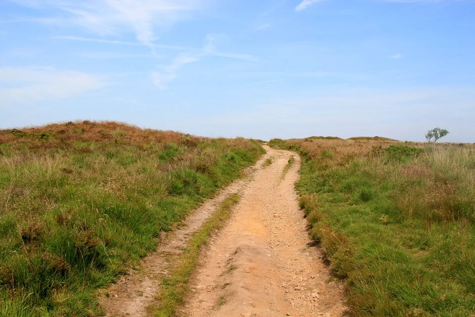 Beacon Batch — Walking in the Wild