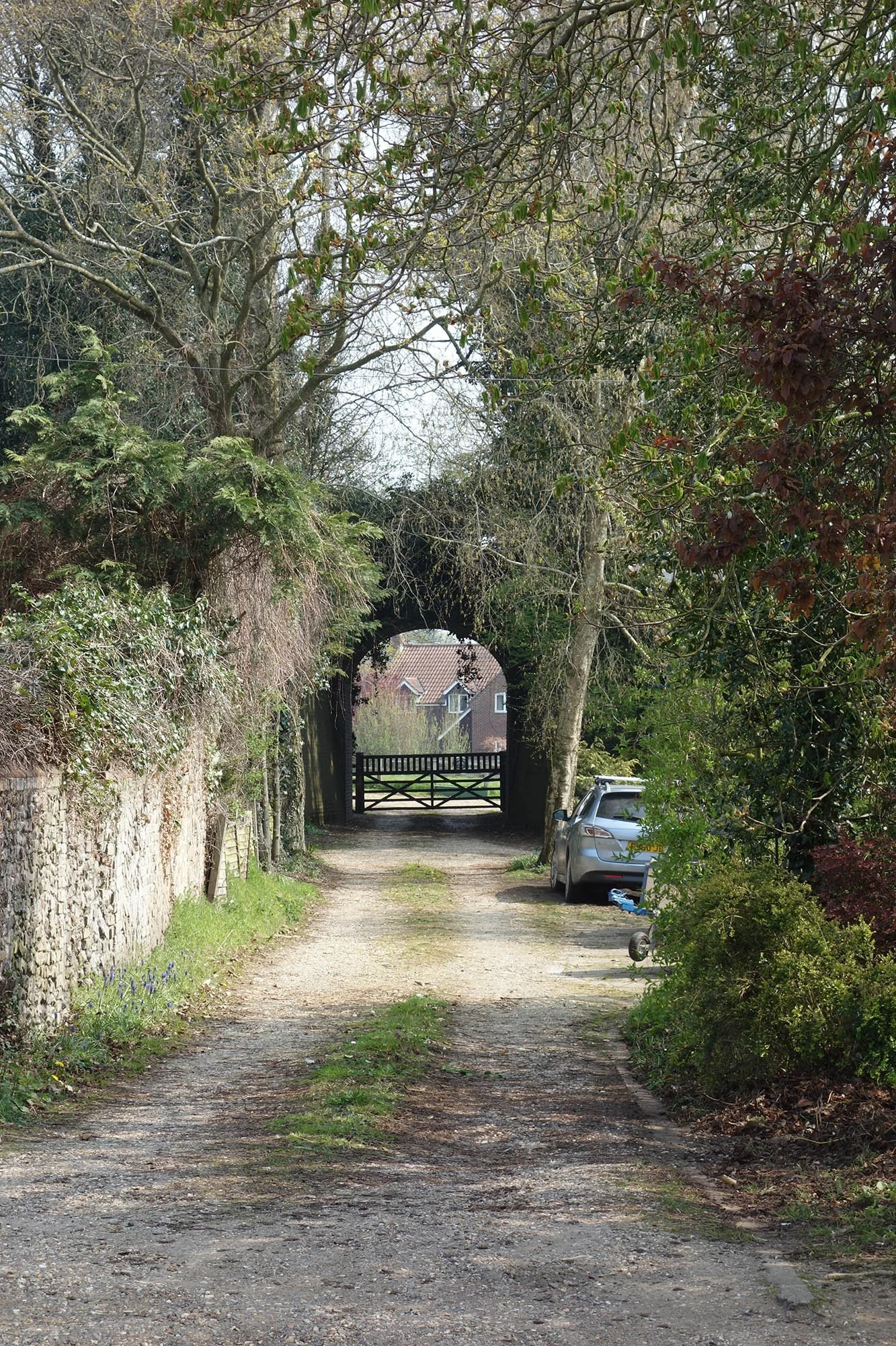 Peddars Way — Walking in the Wild