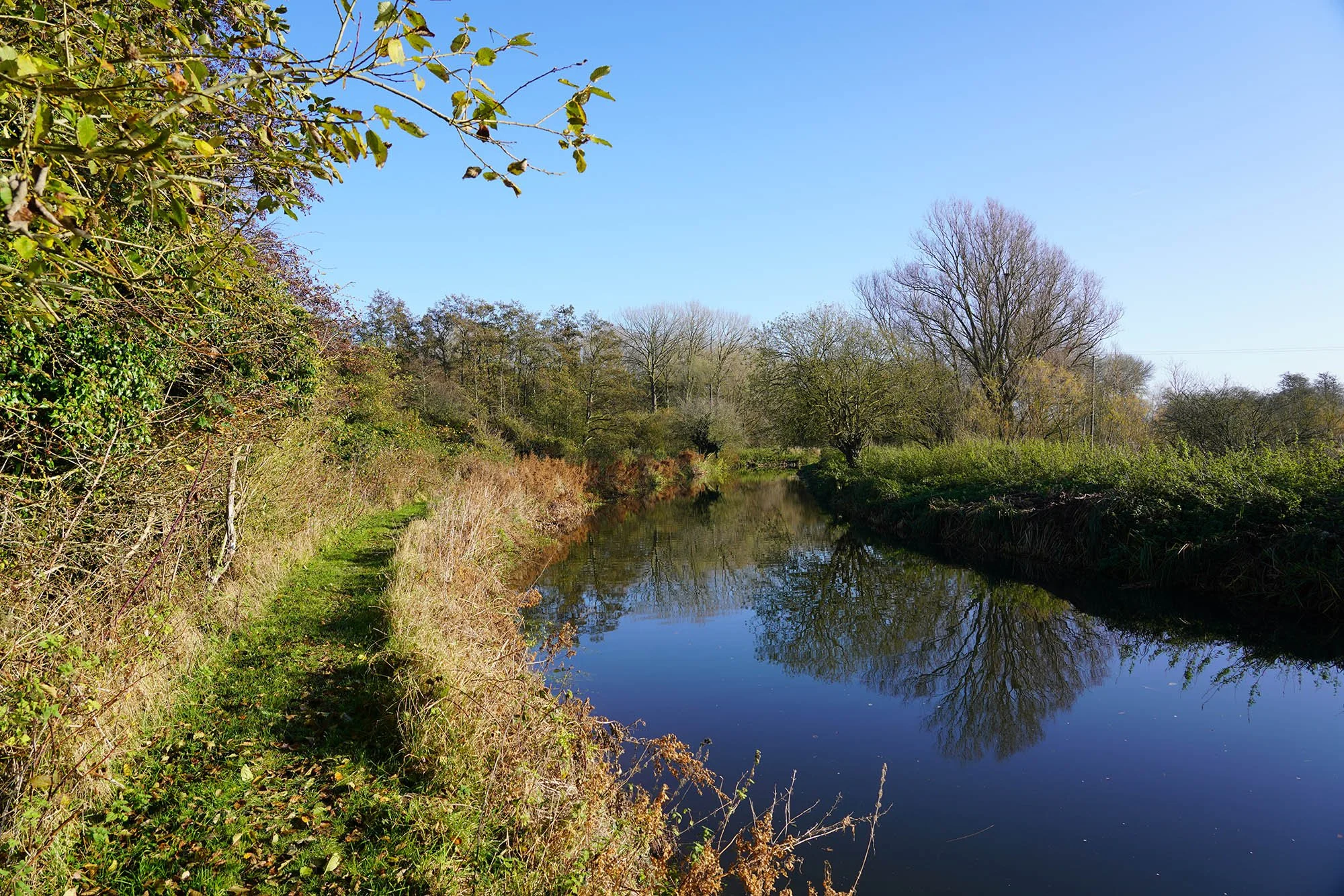 Lark Valley Path — Walking in the Wild