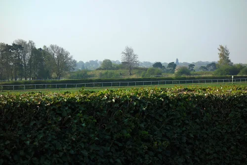 Stour Valley Path — Walking in the Wild