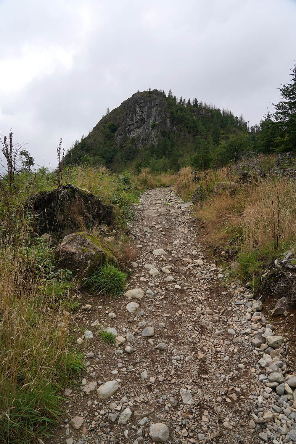 Raven Crag — Walking in the Wild