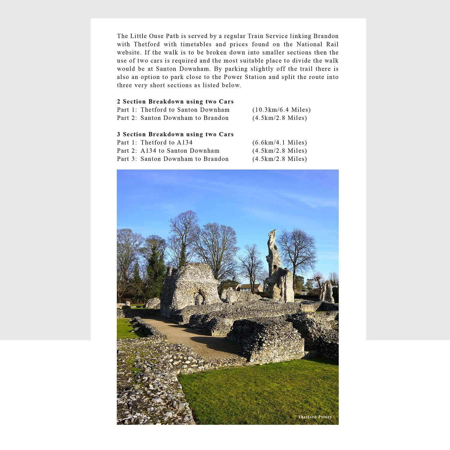 Store — Walking in the Wild