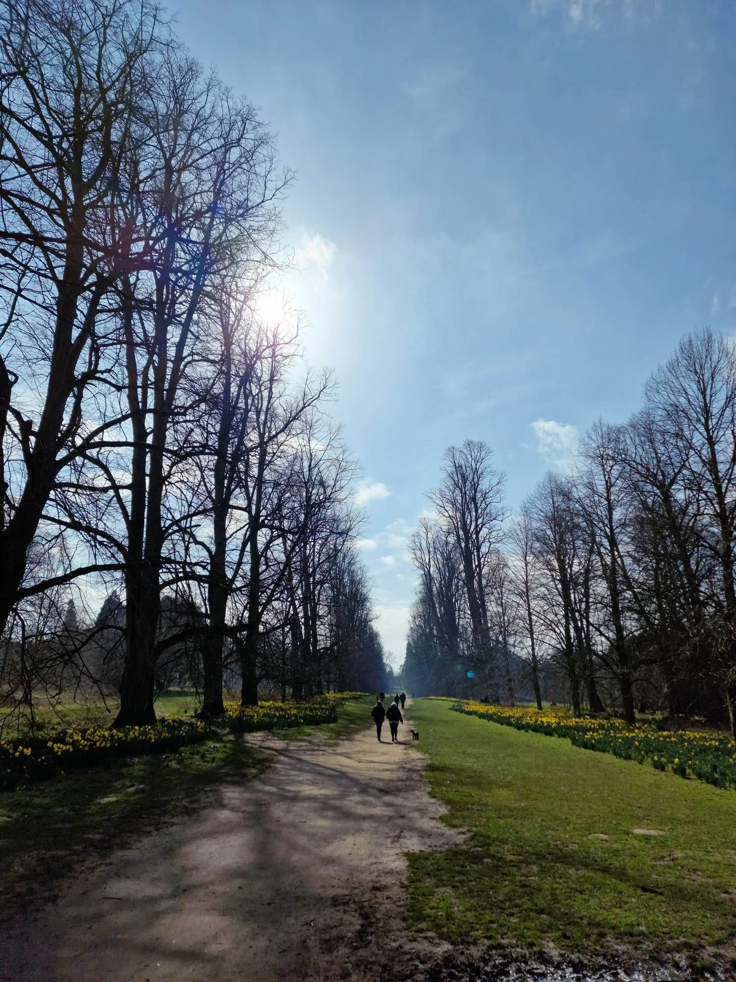 Nowton Park — Walking in the Wild