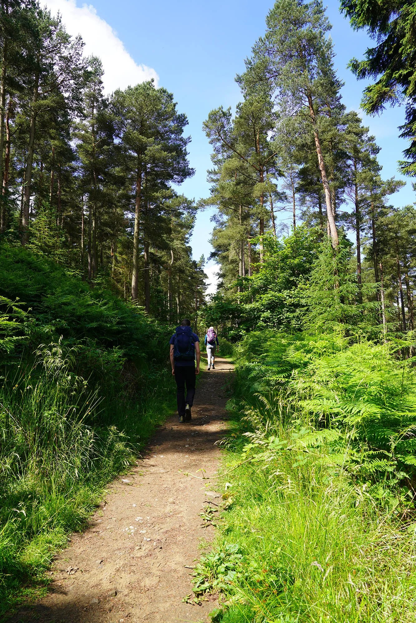 Win Hill — Walking in the Wild