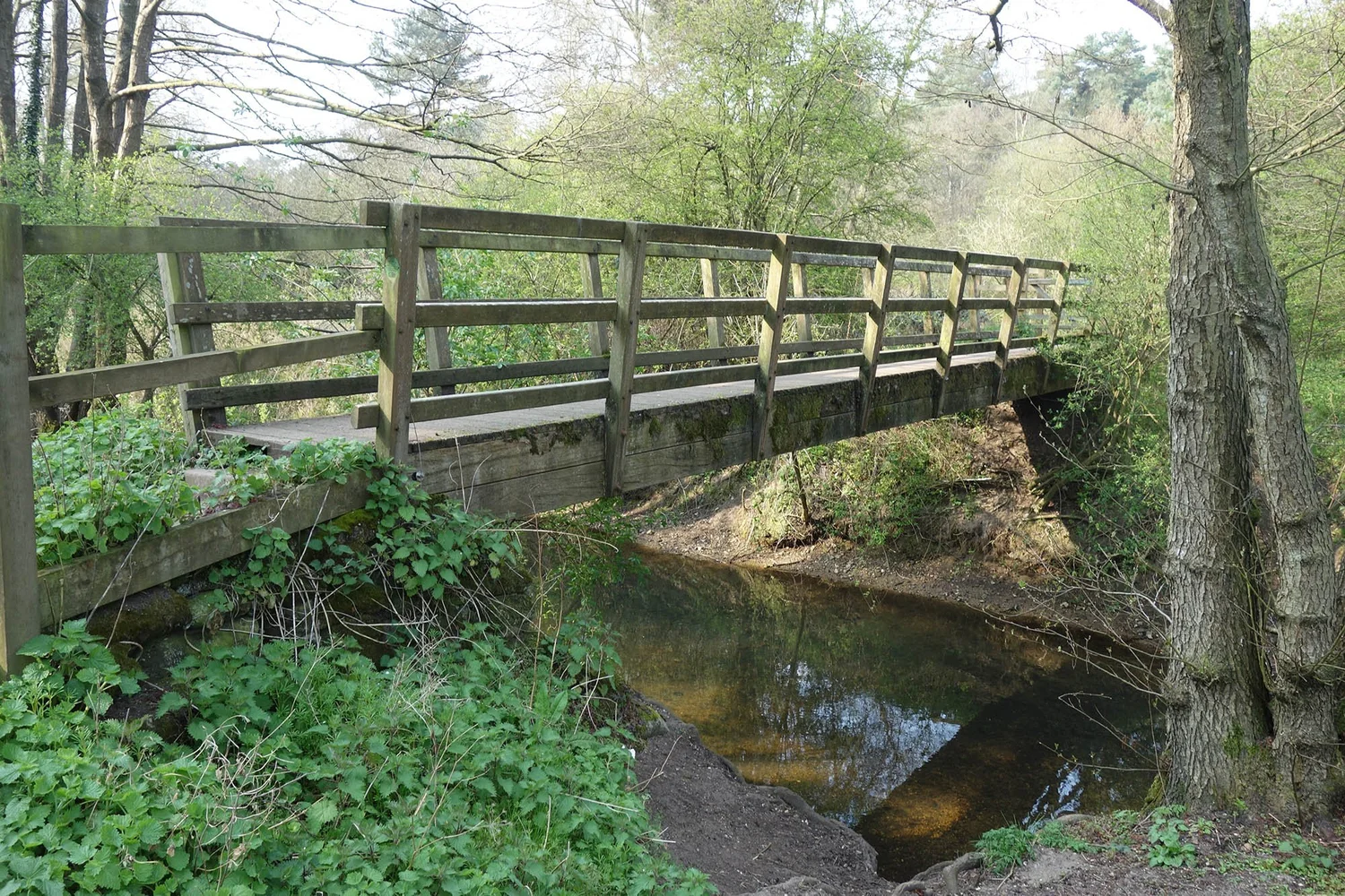 Peddars Way — Walking in the Wild