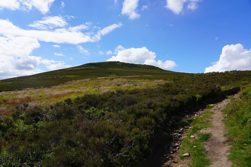 Win Hill — Walking in the Wild