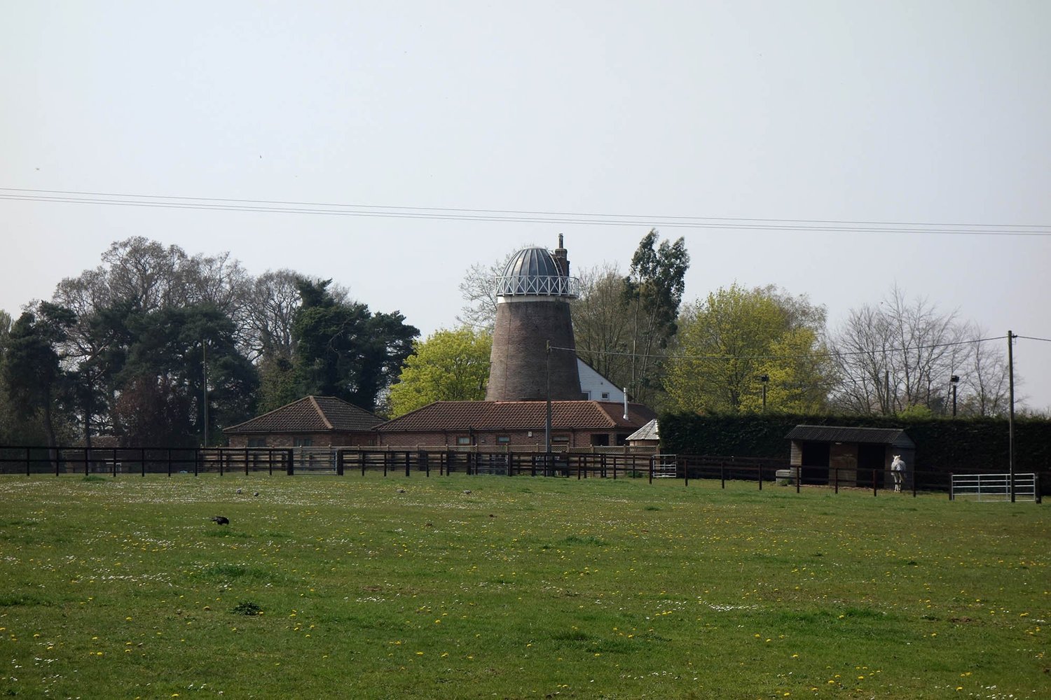 Peddars Way — Walking in the Wild