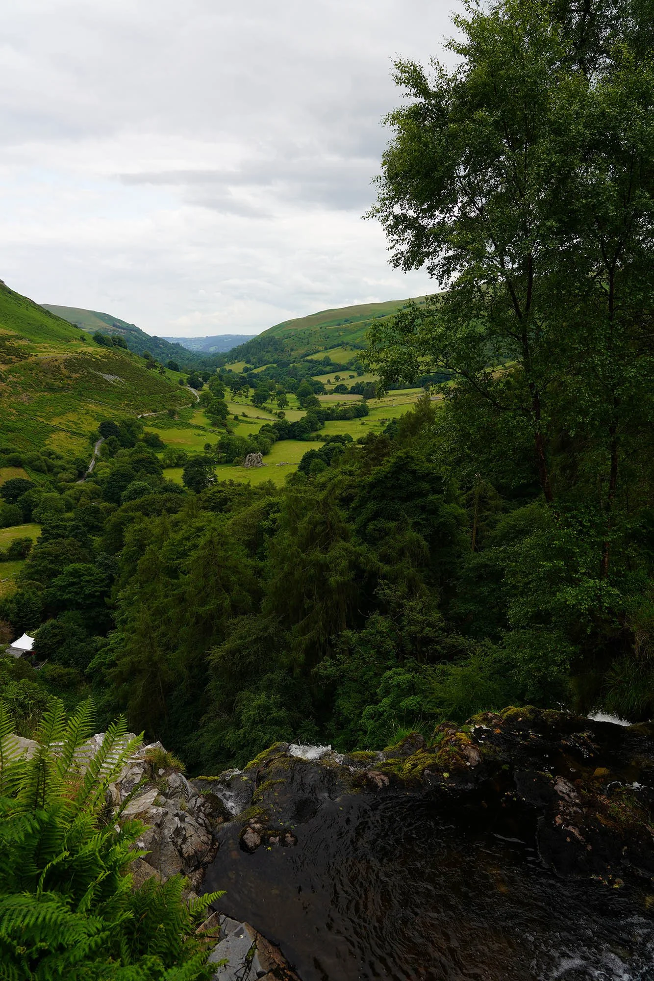Cadair Berwyn Wildcamp — Walking in the Wild