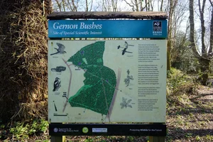 The Essex Way — Walking in the Wild