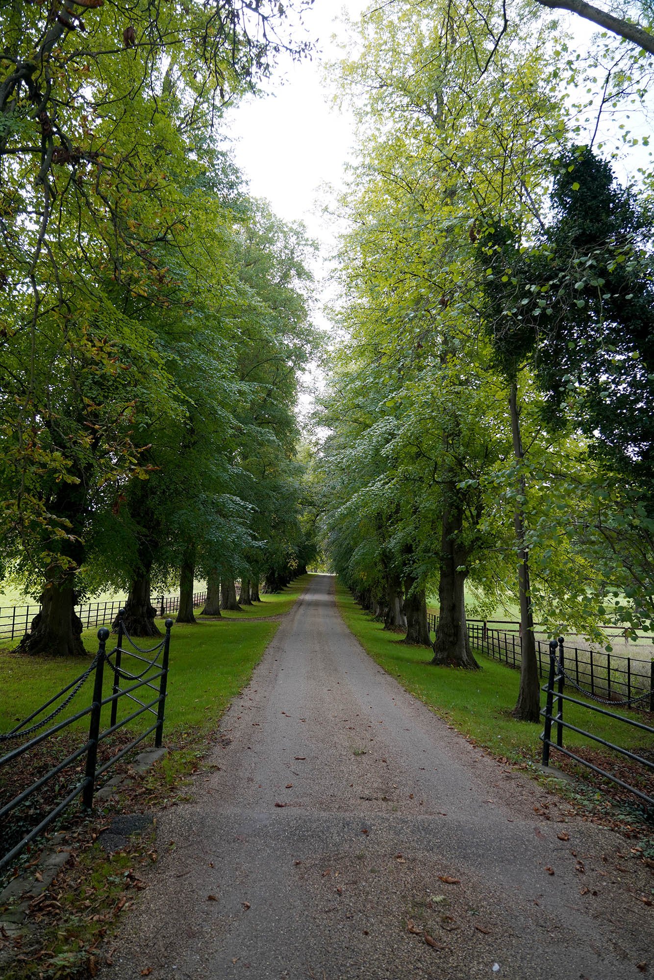 Denston — Walking in the Wild