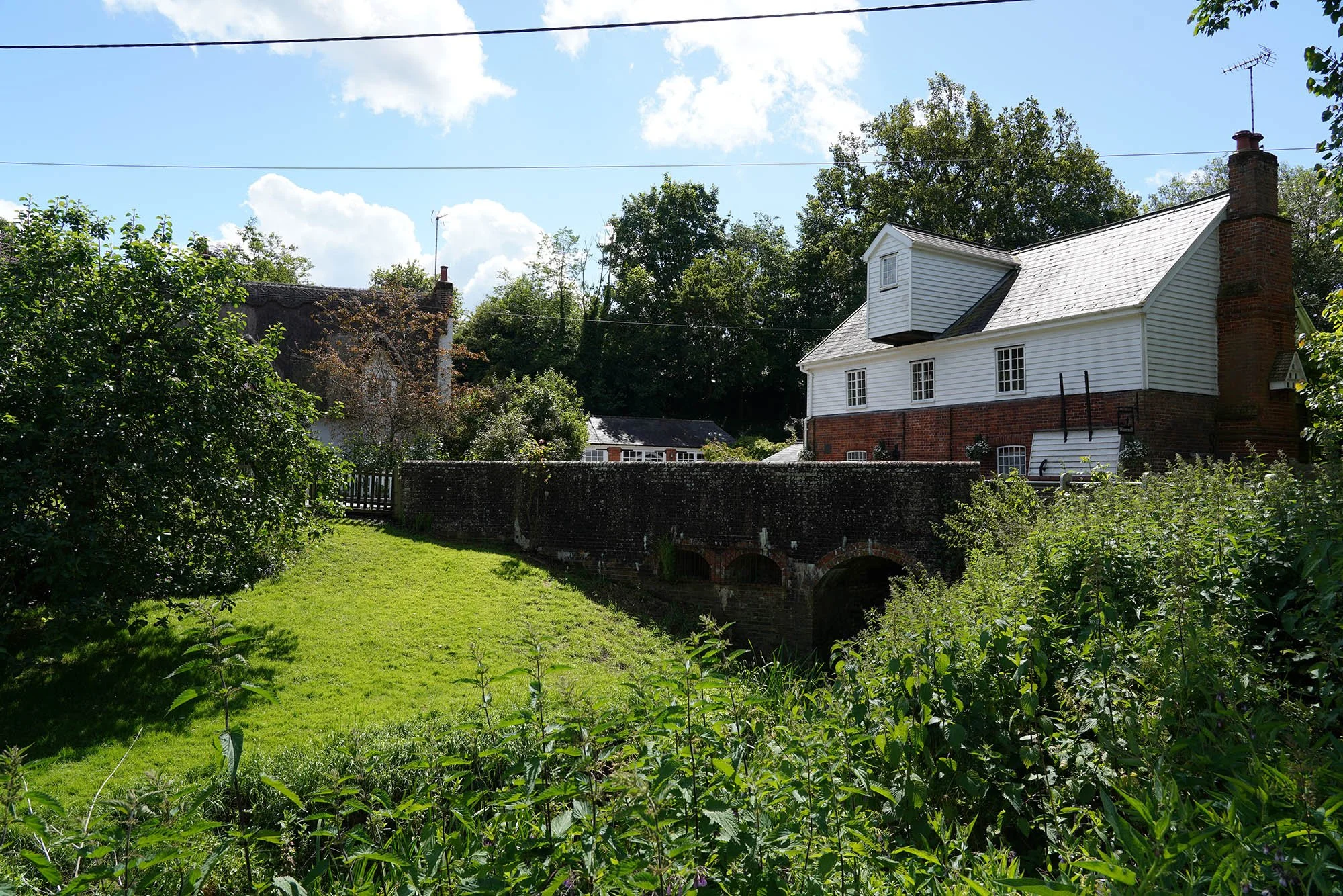 Kedington — Walking in the Wild