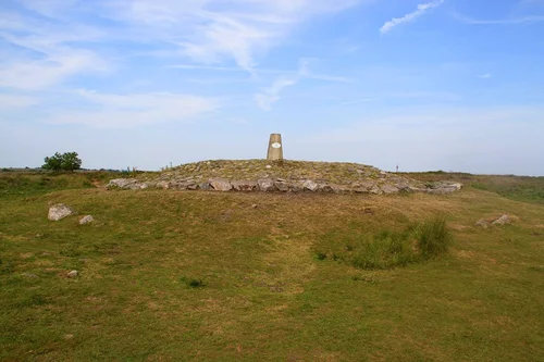 Beacon Batch — Walking in the Wild