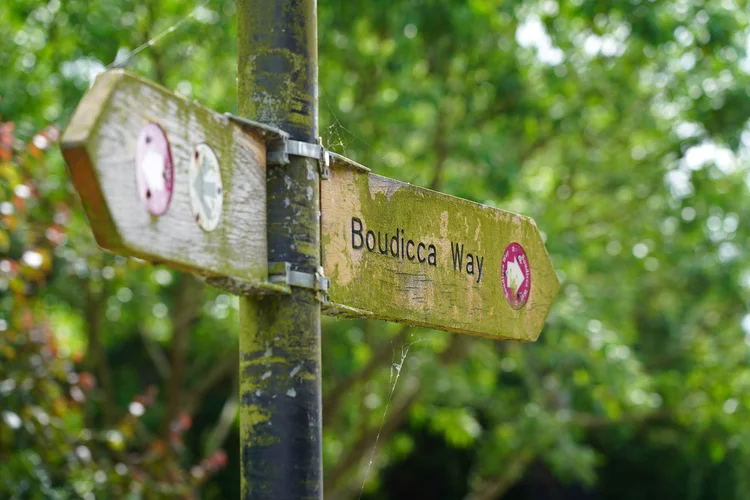 Boudicca Way — Walking in the Wild
