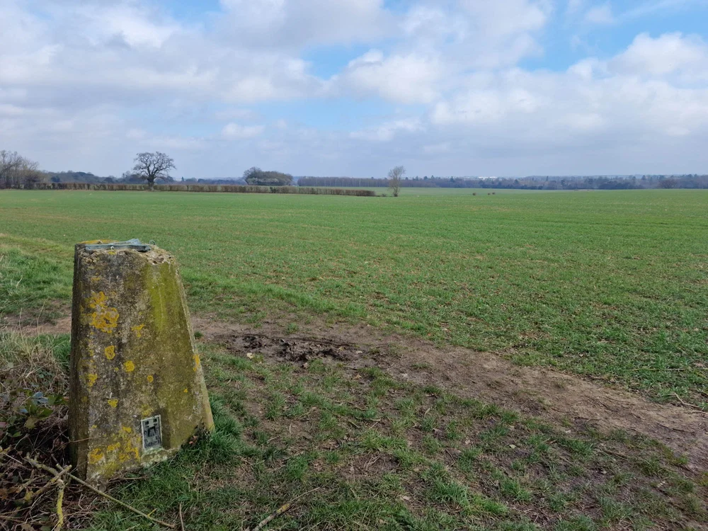 Nowton Park — Walking in the Wild