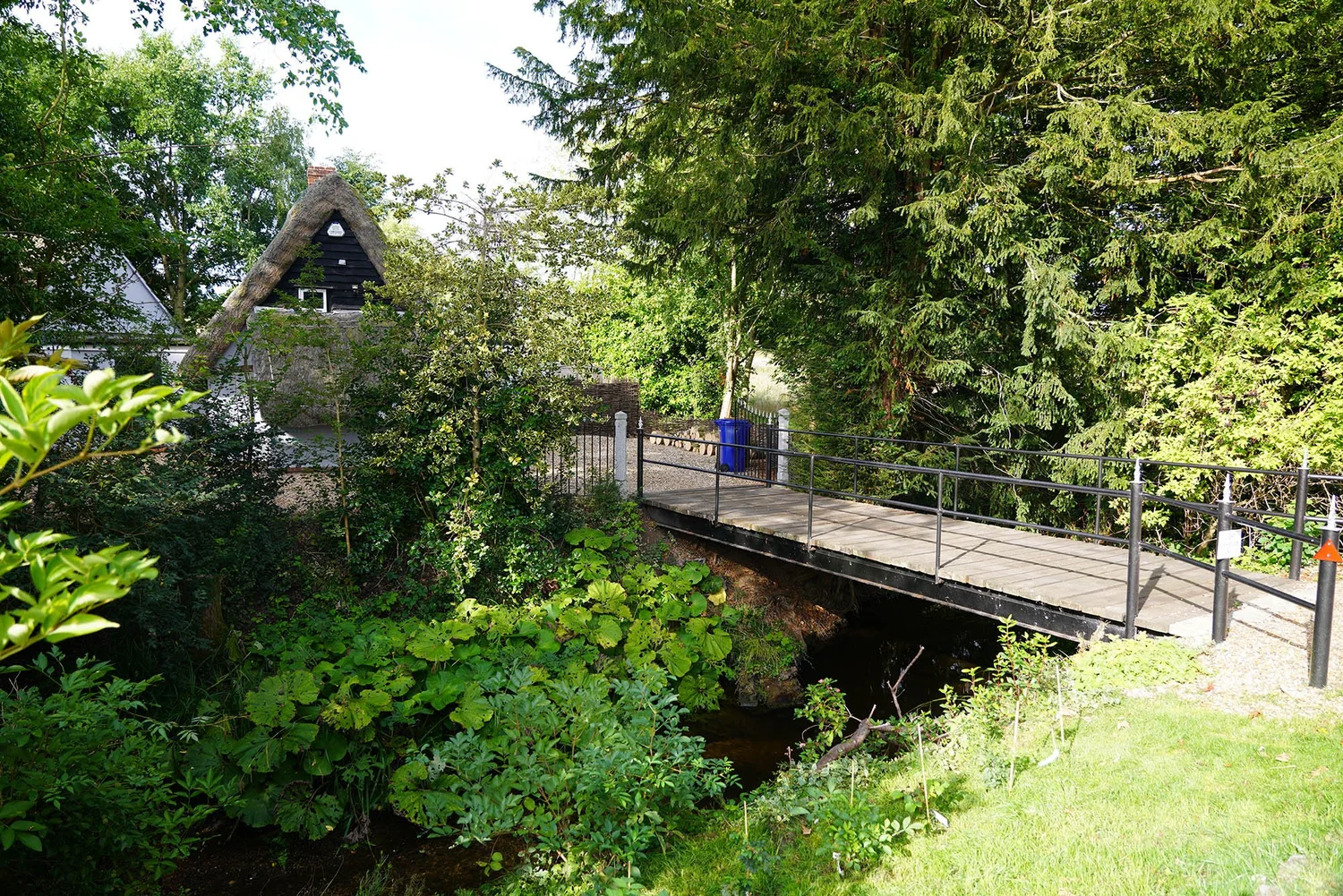 Denston — Walking in the Wild