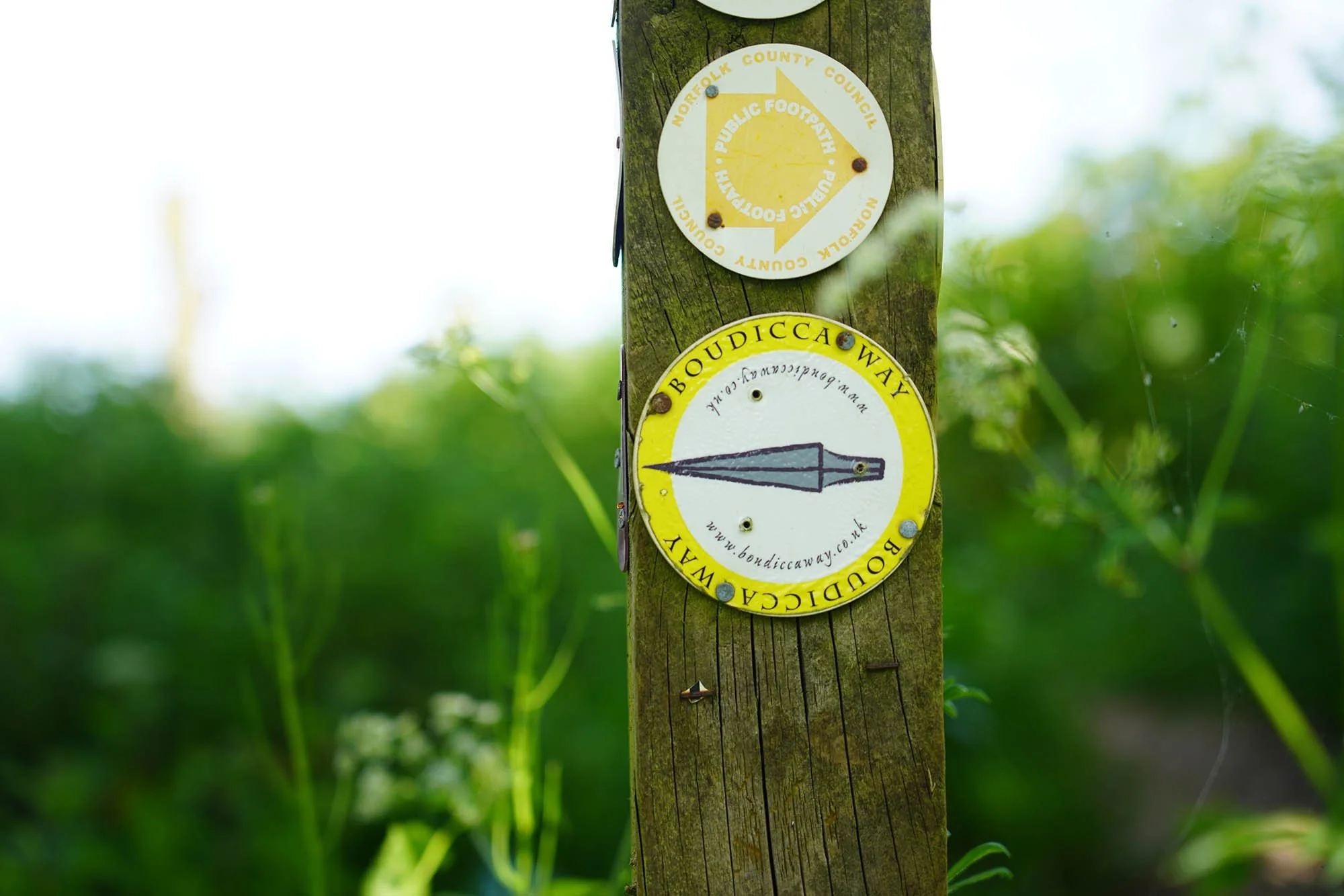 Boudicca Way — Walking in the Wild