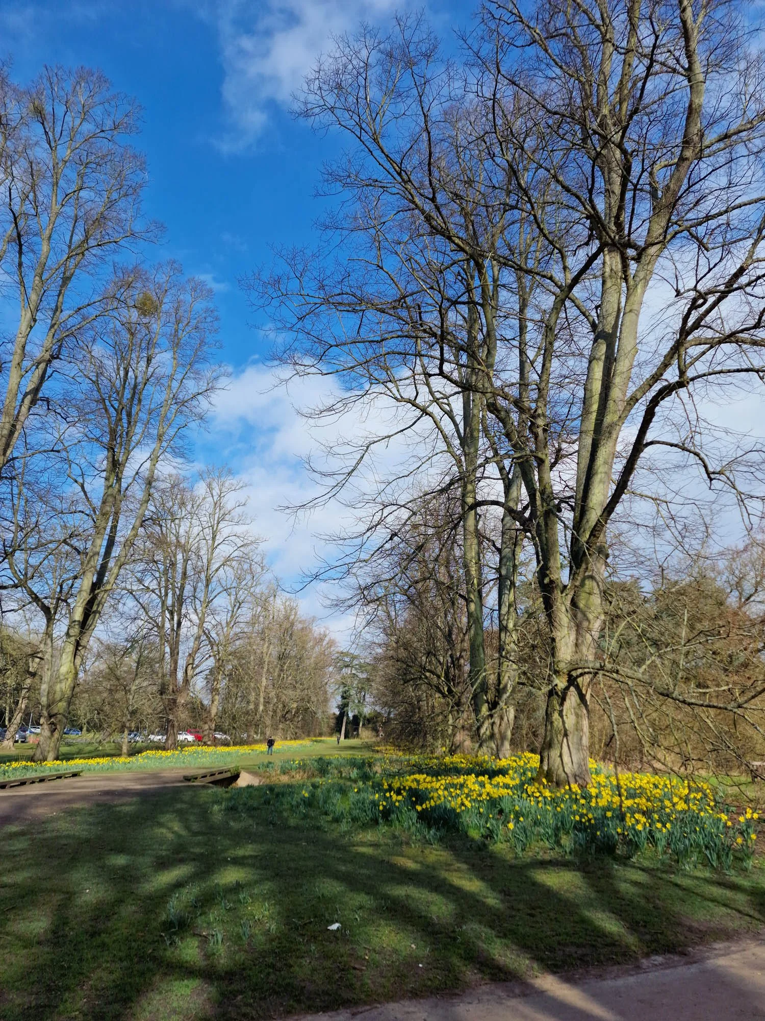 Nowton Park — Walking in the Wild