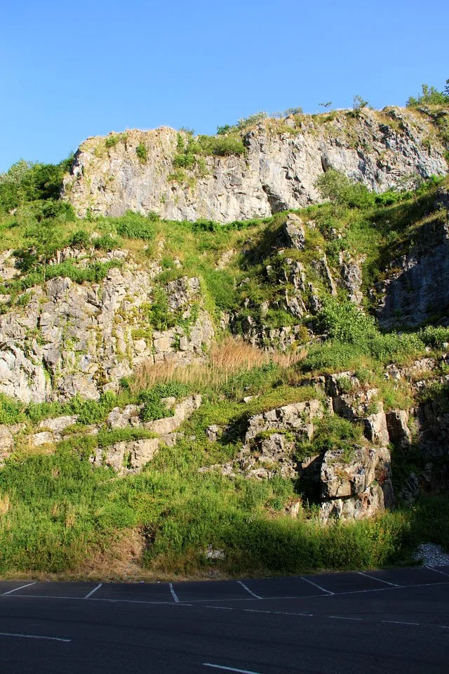 Beacon Batch — Walking in the Wild