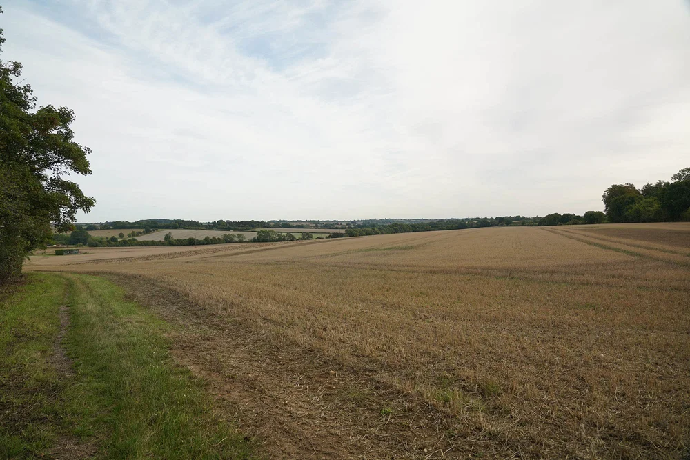 Denston — Walking in the Wild