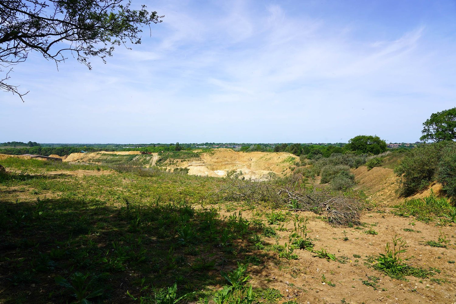 Boudicca Way — Walking in the Wild