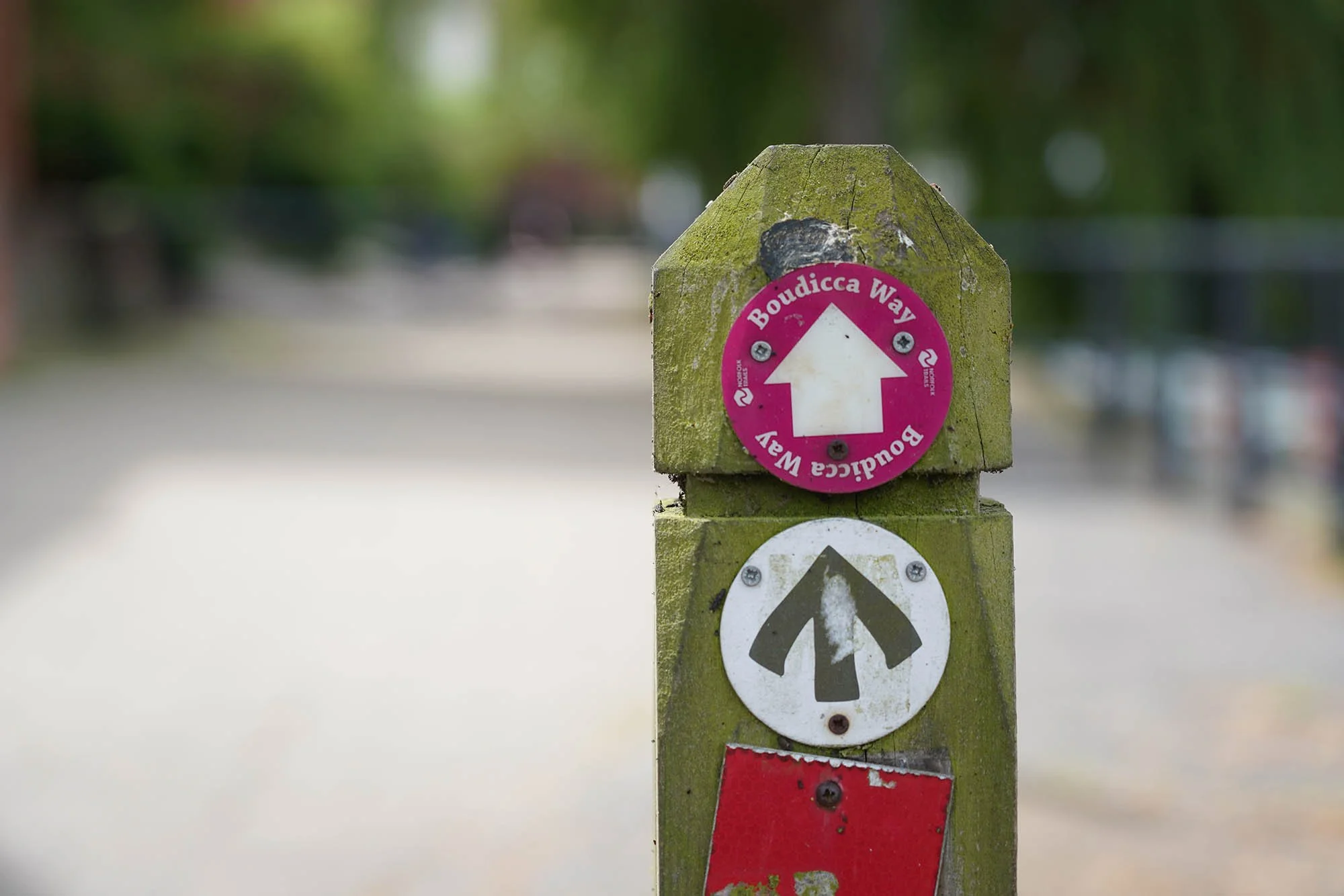 Boudicca Way — Walking in the Wild