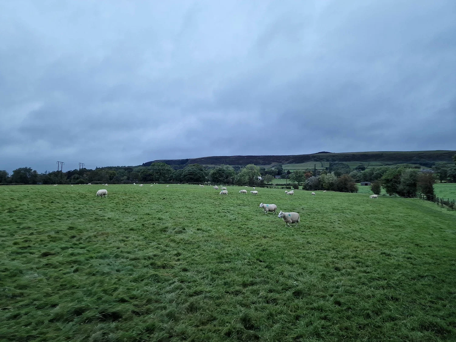 Edale Skyline — Walking in the Wild
