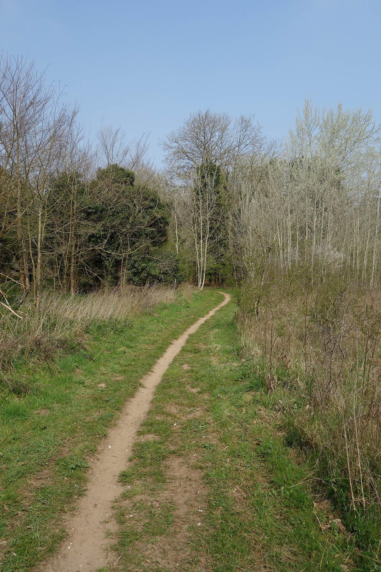 Peddars Way — Walking in the Wild