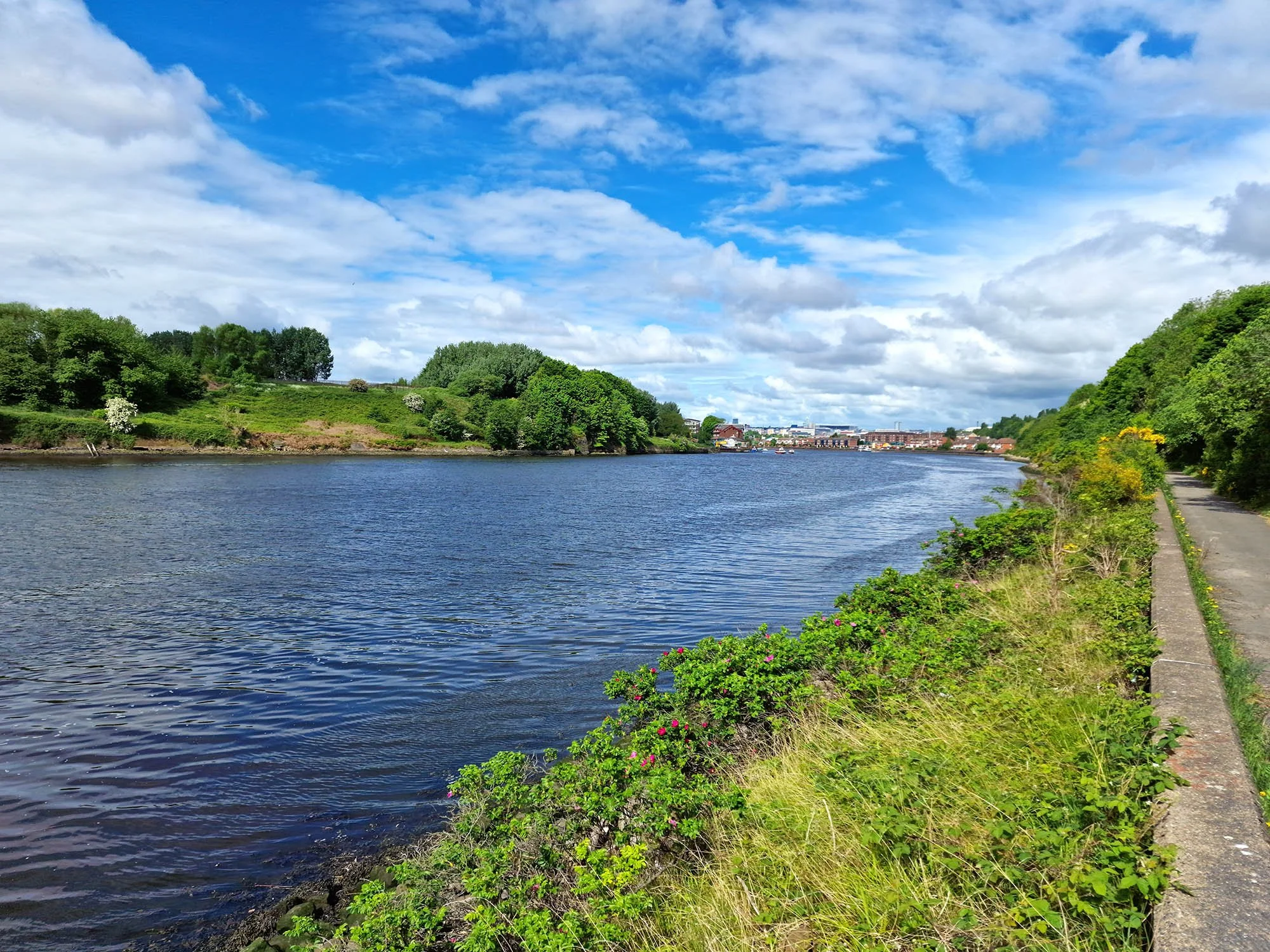 Hadrian’s Wall Path — Walking in the Wild