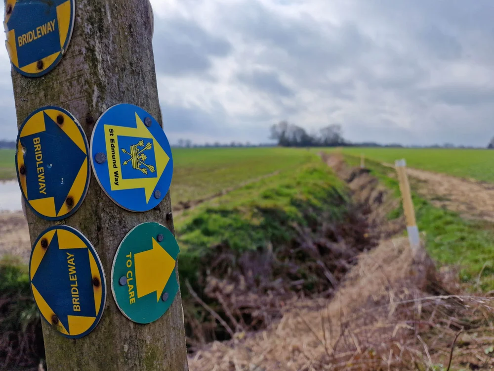 Nowton Park — Walking in the Wild