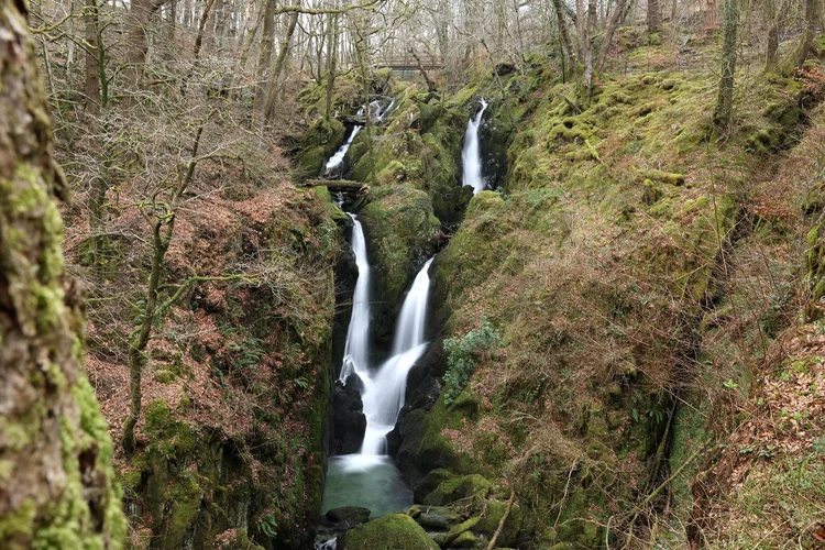 Wansfell — Walking in the Wild