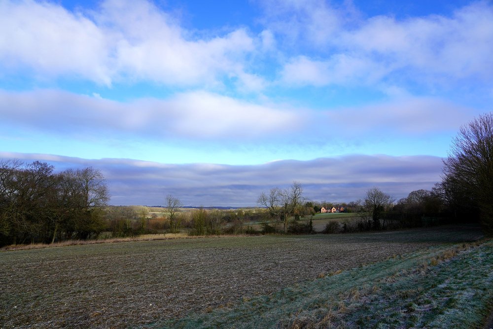 Stanningfield — Walking in the Wild