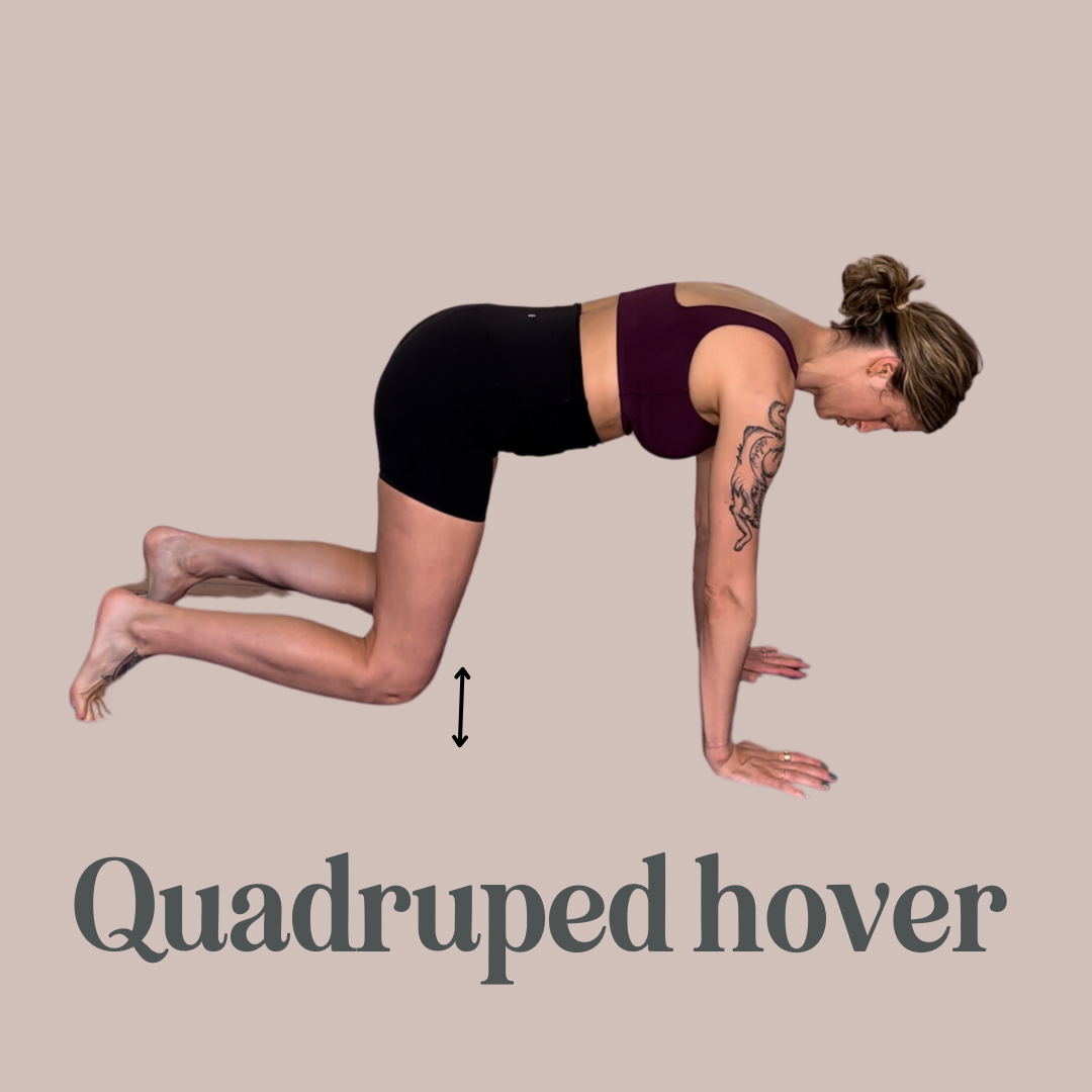 Gentle Pelvic Floor Exercises for Postpartum Recovery — Dr. Jackie Joy ...