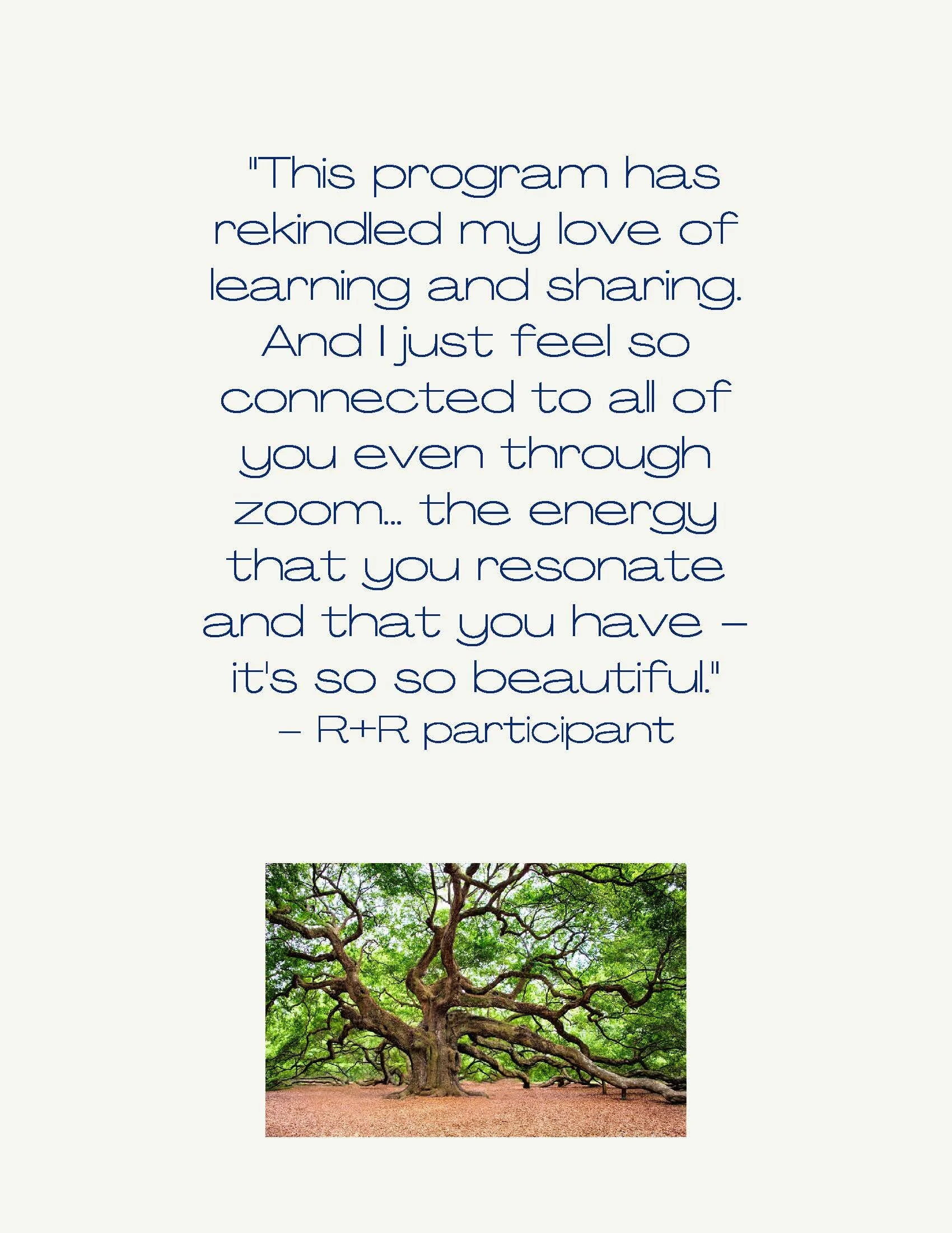 Rooted & Rising — Young Lives Research Lab