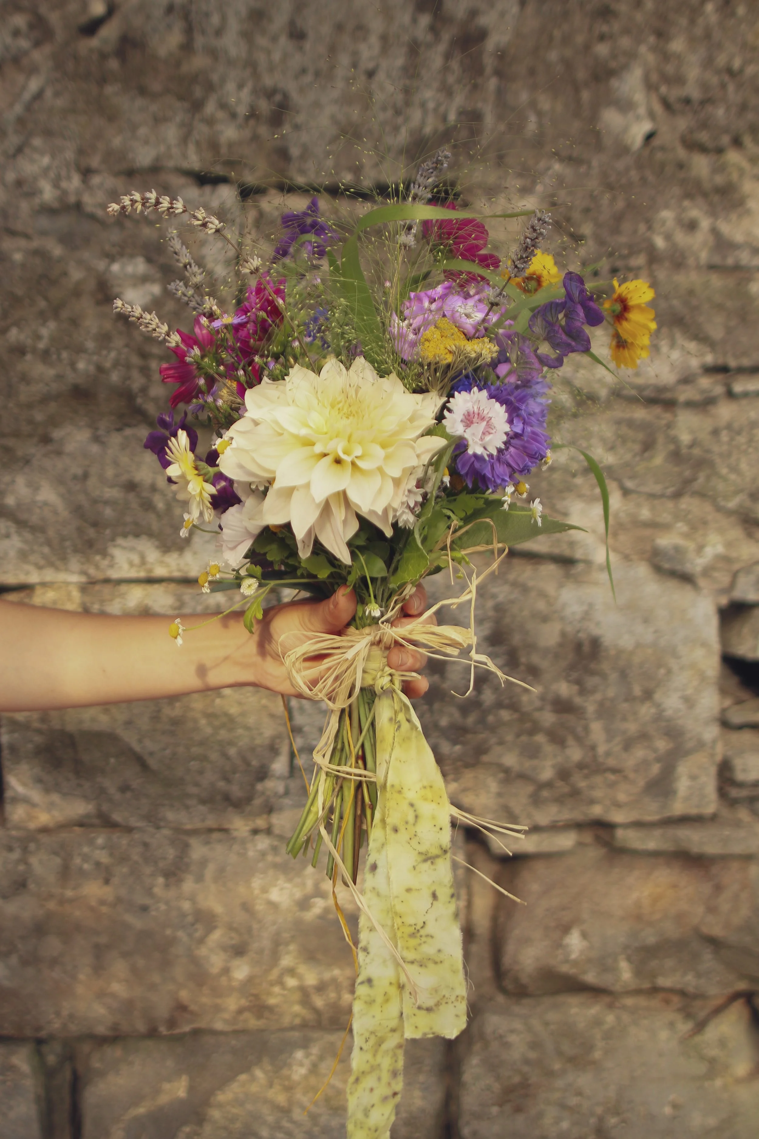 Eco Flower Farm By Giulia Canevari Co. Clare